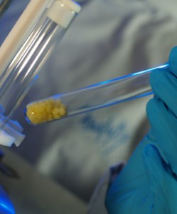 Microwave Digestion Systems by Milestone | UltraWAVE